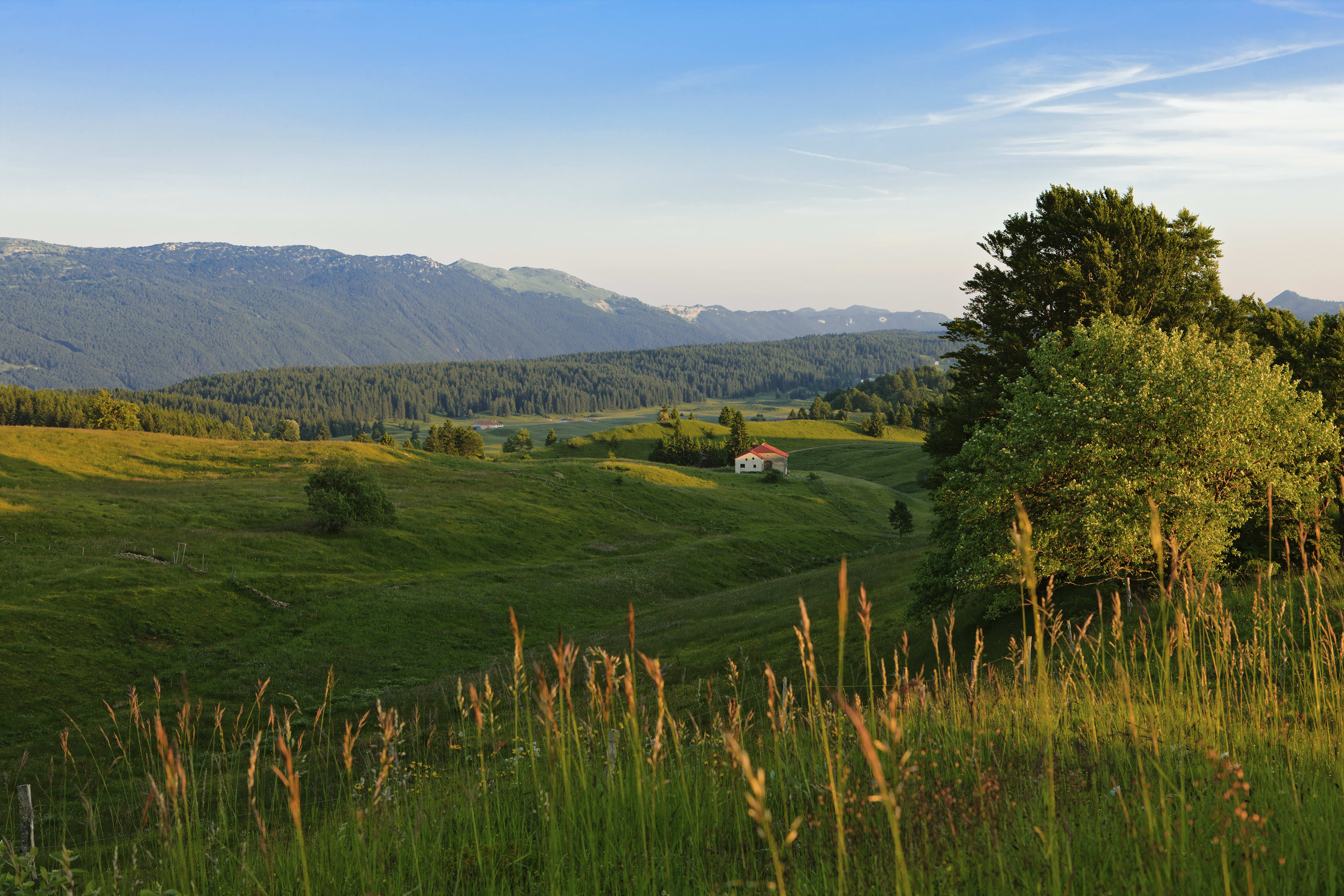 Randonnée Hautes Combes du Jura en hôtel 3***