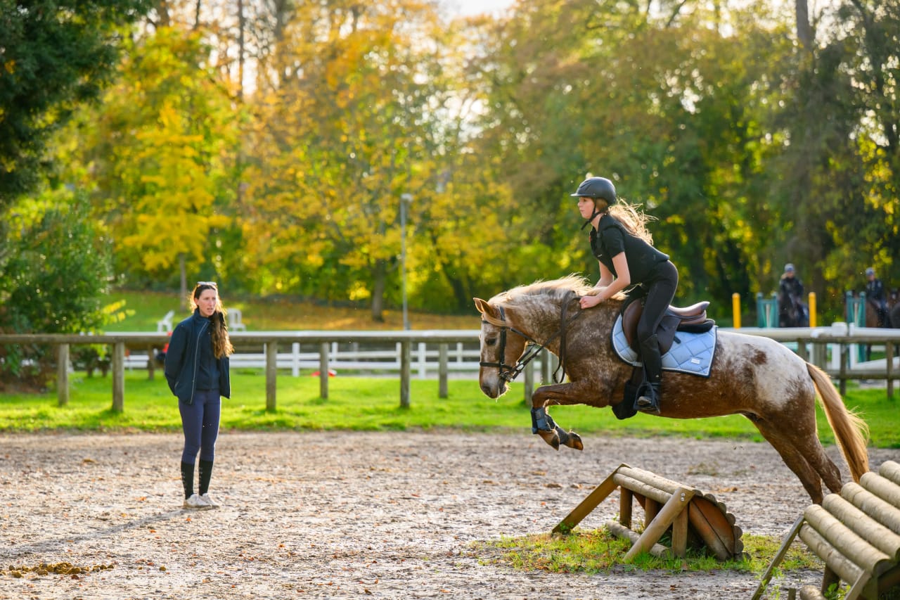 Cross équitation : règles, obstacles et conseils pour débuter