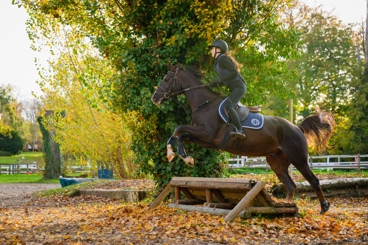 Obstacle de cross : les bases pour progresser à cheval