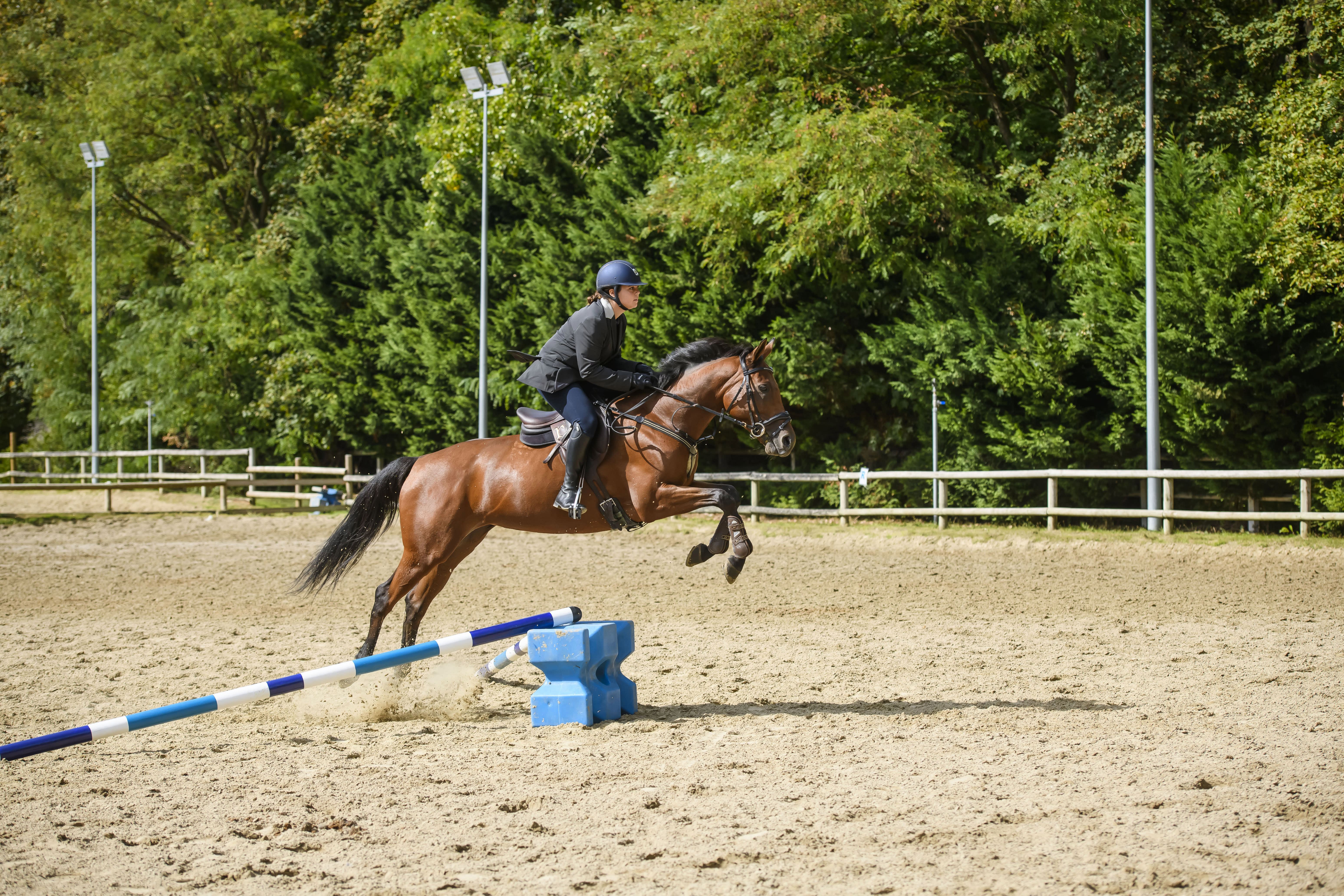 Tutoriel Equitation N°11 : Bien aborder ses obstacles