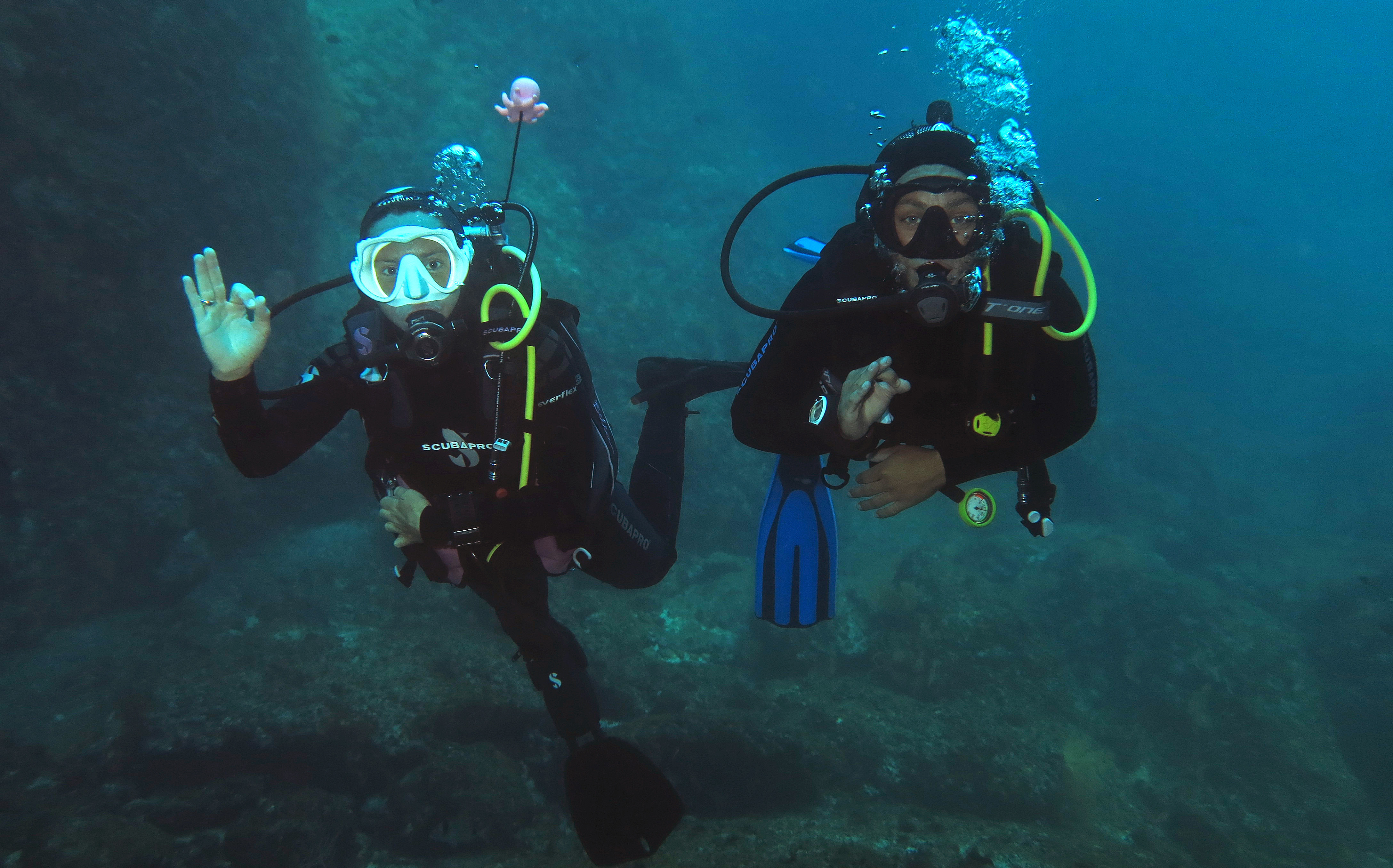 Plongée exploration Côte bleue - séjour en France - UCPA