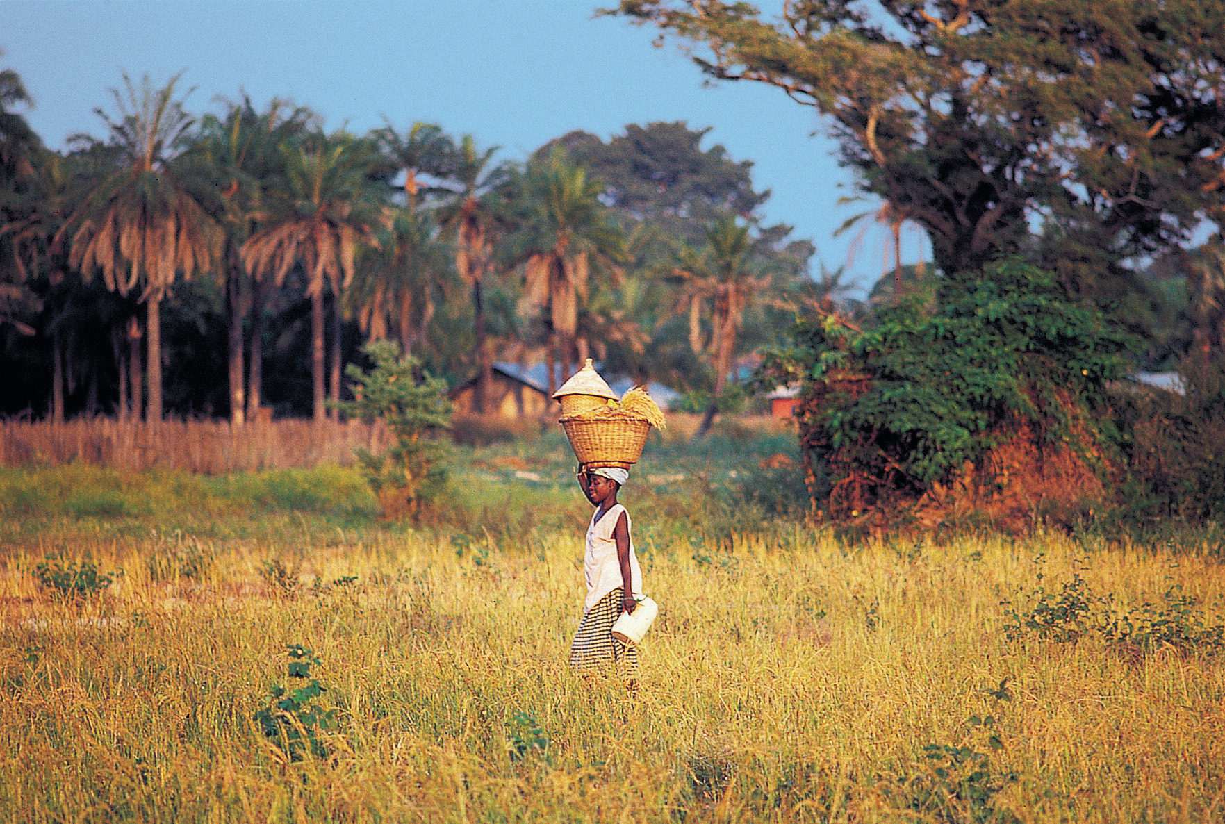 Séjour Sénégal : découvrez les centres UCPA