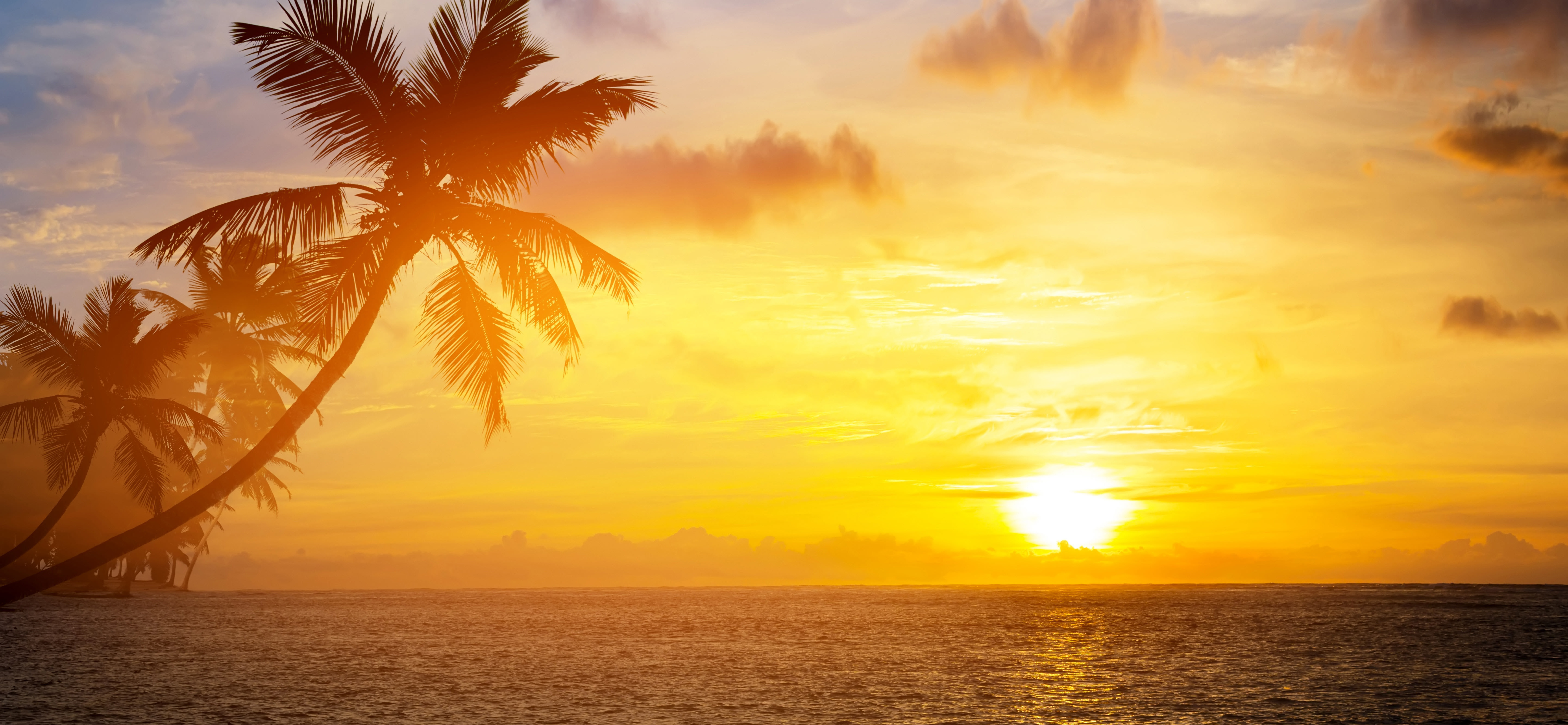Aloha Aloha - circuit en Etats-Unis - UCPA