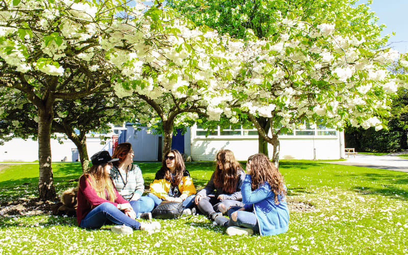 Telligo, le spécialiste des colonies de vacances - Telligo