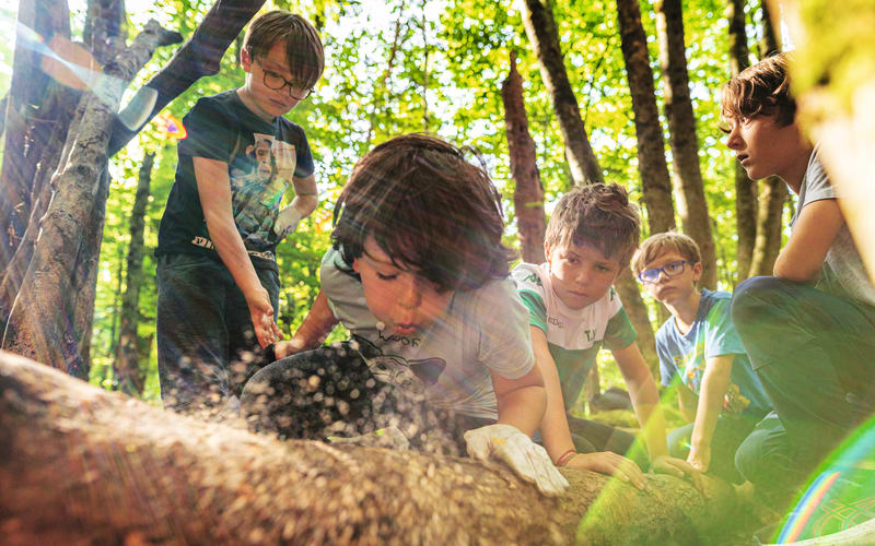 Téléchargez les documents pratiques pour partir en colonie de vacances ...