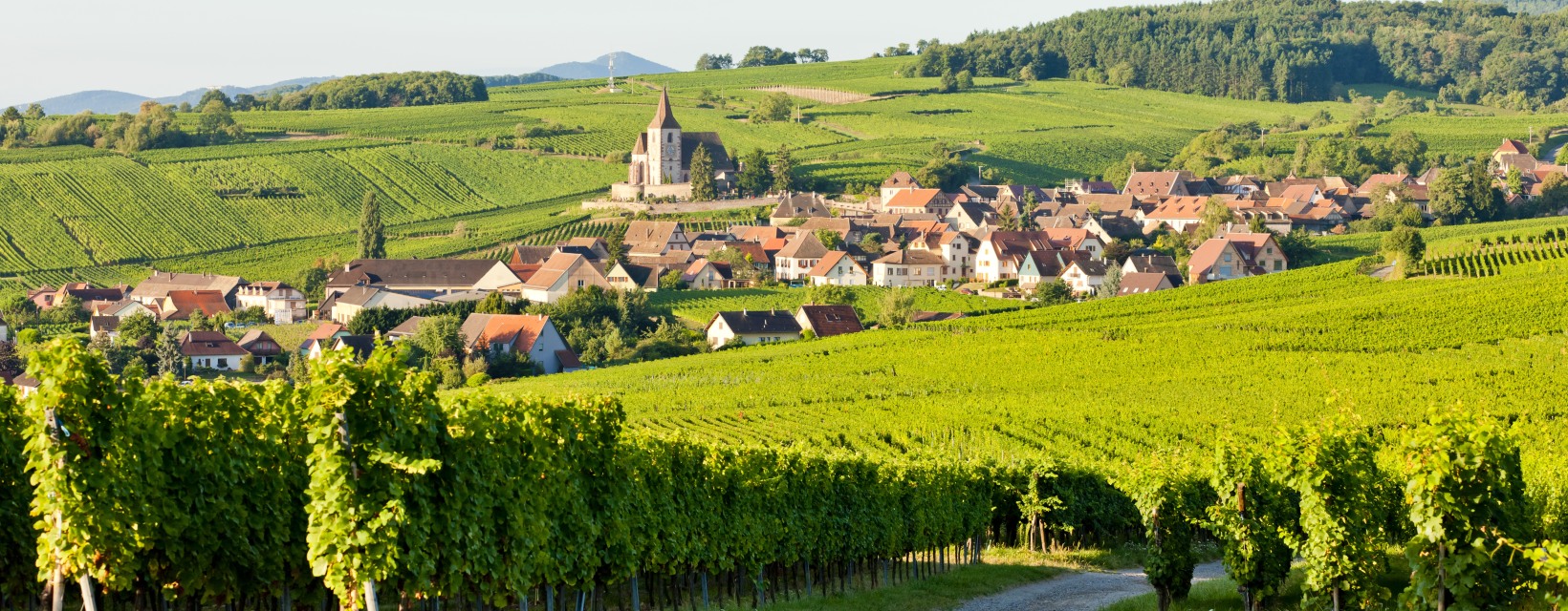 Climat Vosges - Alsace - Meilleure période, température, pluie par mois ...