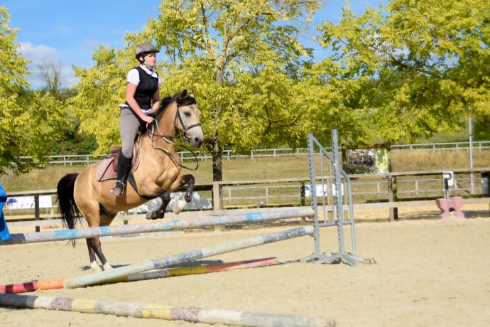 English & horse riding en campus - Séjour linguistique équitation en ...