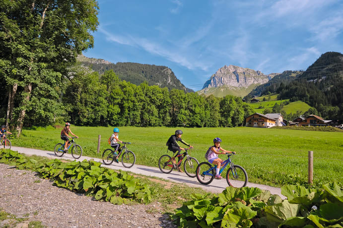 Adventure Mountain Challenge - Colonies de vacances - Telligo